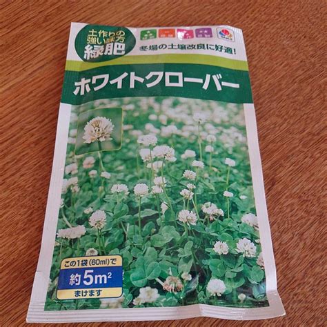 【未使用】しろクローバー 60ml タキイ種苗 有効期限2022年10月緑肥 土壌改良の落札情報詳細 Yahooオークション落札価格検索