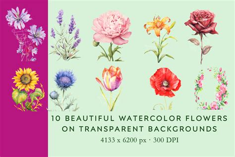 Vintage Watercolor Flower Illustrations Graphic By Imperfectirissio