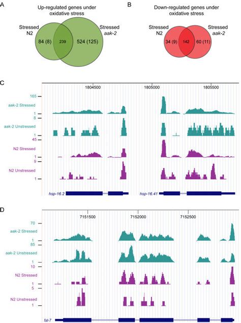 Number Of Commonly Or Statistically Differentially Regulated Genes In