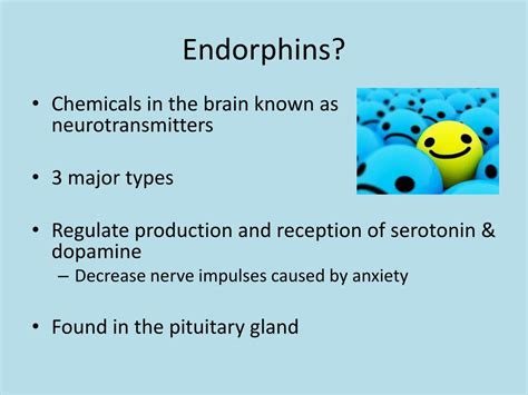 Ppt Endorphins Powerpoint Presentation Free Download Id 1974845