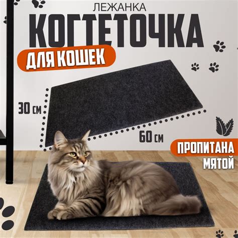 Когтеточка напольная/лежанка - купить с доставкой по выгодным ценам в ...