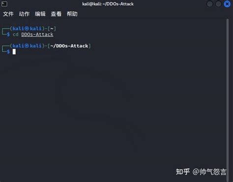 如何使用kali来进行一次ddos攻击 知乎