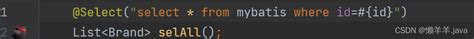 【mybatis】多条件查询、动态sql、多表操作、注解开发 注解sql语句动态条件查询 懒羊羊 java的博客 csdn博客