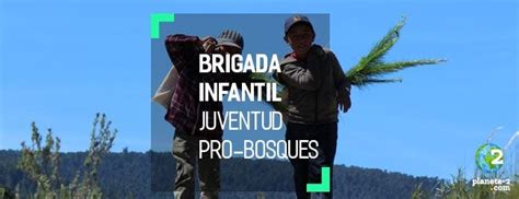 ‘teporingos La Brigada Infantil Que Protege Los Bosques De Tlaxcala