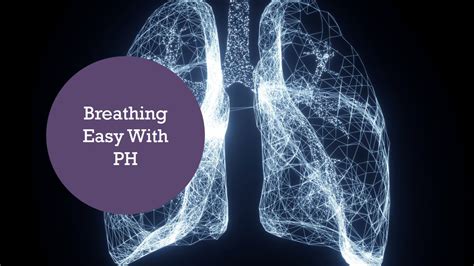 Comprehensive Overview Of Vasoreactivity Testing In Pulmonary