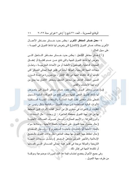 الرقابة المالية تصدر ضوابط التسعير المسئول في نشاط تمويل المشروعات