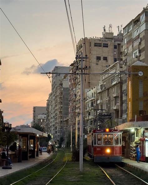 Mohamed El Sawy Mohamedelsawy6 • Instagram Photos And Videos