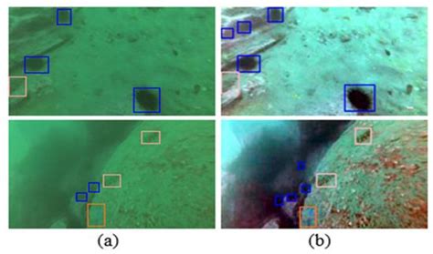 An Improved Yolov5 Based On Triplet Attention And Prediction Head Optimization For Marine