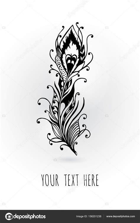Peacock Featherhand Drawing Illustration Stock Vector By ©anasteisha