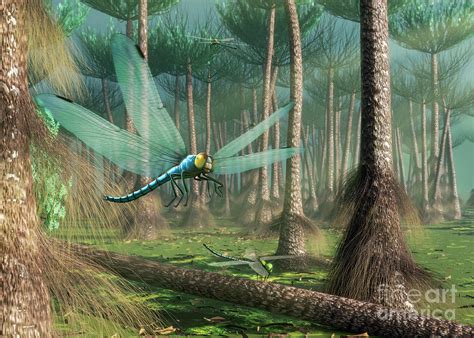 Artwork Of Giant Dragonfly Meganeura 1 Photograph By Mark Garlick
