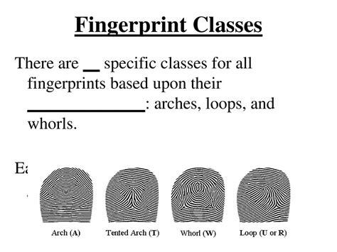 Fingerprint Class Definition At Matthew Tindal Blog