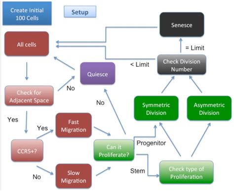 Decision Tree For Tumor Model Download Scientific Diagram