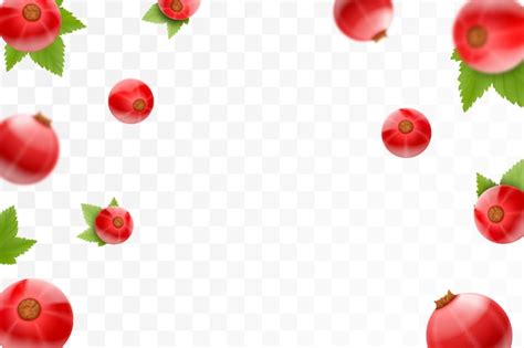 Redcurrant 배경 투명 한 배경에 녹색 잎을 가진 비행 붉은 건포도 다른 각도에서 떨어지는 건포도 집중 및 흐릿한 개체