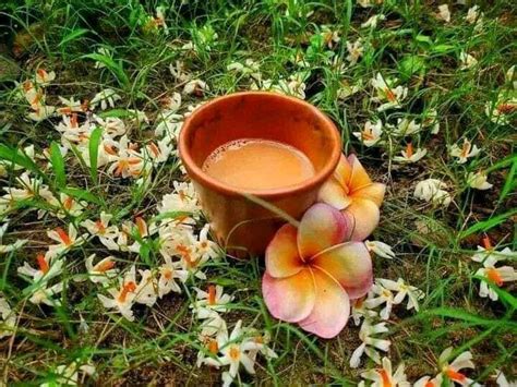 পুনর্জন্ম কাঠ গোলাপ নাকি চা 😌🌼
