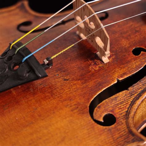 Viola Strings Labeled