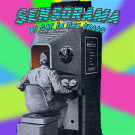 Sensorama Cat In The Grass Rfakealbumcovers
