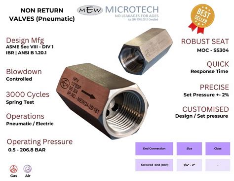 12 Inch Ss Non Return Valve Pneumatic At ₹ 350piece In Mumbai Id