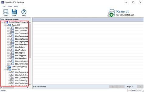 How To Repair Damaged Or Corrupted SQL Database File
