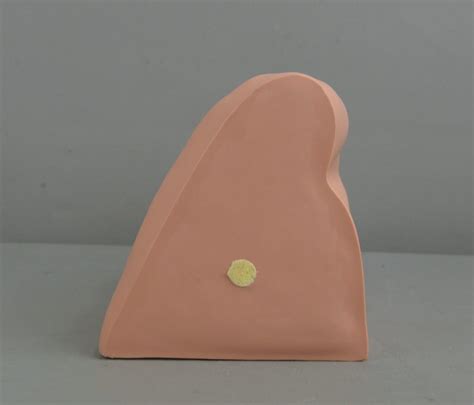 Nasco Healthcare Simulaids Humerus Intraosseous Trainer Rhino Trade Llc
