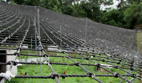 Poultry Netting And Fencing — Your One Stop Poultry Supply Shop Pinnon