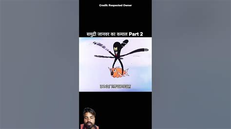 Samudri Jeev 🐙 Bipin Official 1 0 Shorts Viralvideo Youtube