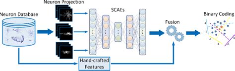 Overview Of Our Proposed Framework Including Four Steps Ie Download Scientific Diagram