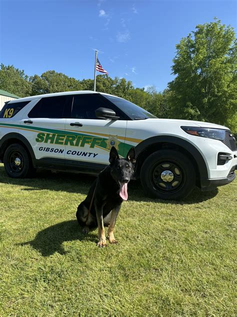 Gibson County Gibson County Sheriffs Department