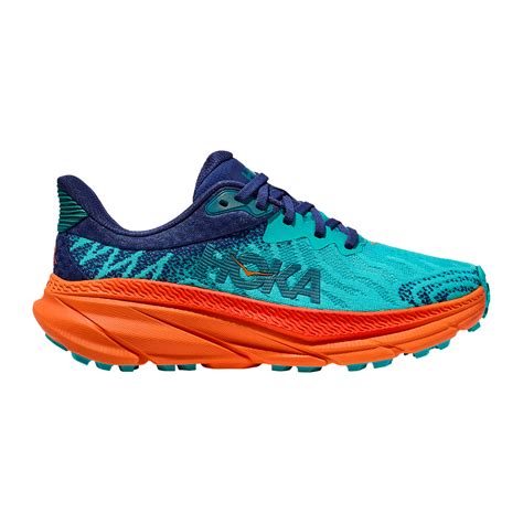 Hoka Shoes Queenstown At Lula Hurst Blog