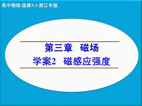3 2磁感应强度 课件 人教版选修3 1 word文档在线阅读与下载 无忧文档
