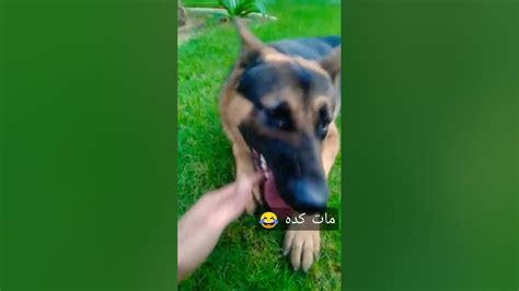 عم بخ ،، 😂 Youtube