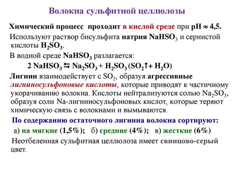 Бумага Изучение древесной массы Производство бумаги презентация онлайн