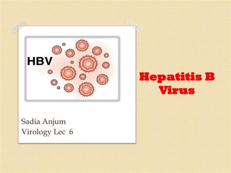 Ppt Hepatitis B Virus Powerpoint Presentation Free Download Id2274709