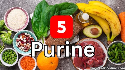 Purine சத்து அதிகம் நிறைந்த 5 உணவுகள் Purine Rich Foods In Tamil
