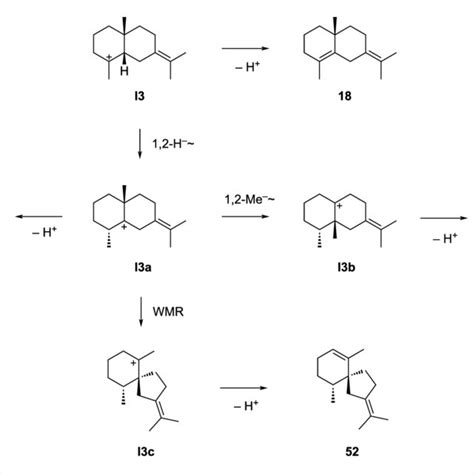 Scheme 8 The Sesquiterpenes Derived From Cation I1 A Pyrolysis Of 23