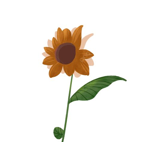 Girasol Dibujo Png Free Psd Templates Png Free Psd Templates Png Porn