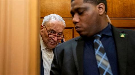Trainwreck Inside Furious House Democrats Growing Anti Schumer Movement