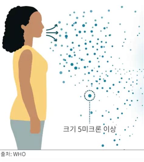 독감예방접종 무료예방접종 대상 및 독감 증상 등 소개