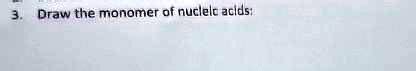 SOLVED Draw The Monomer Of Nucleic Acids Draw The Monomer Of Nucleic Acids