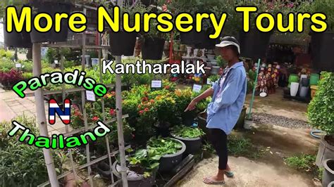 More Nursery Tours Youtube