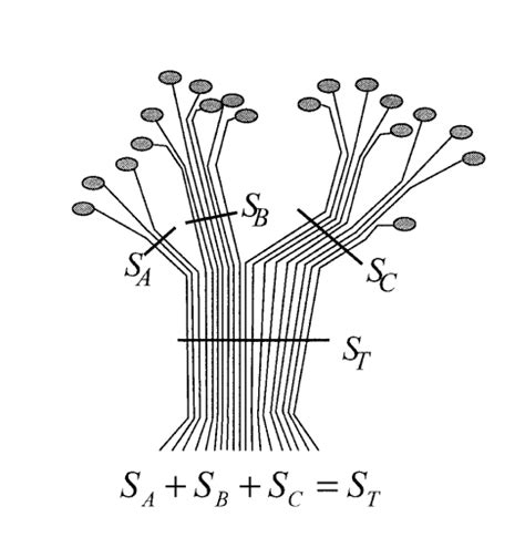 5 Plant Modeling In Pipe Model Theory Figure From 9 Download