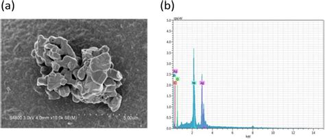 A Sem Image And B Eds Spectrum Of The As Prepared Agnbo 3