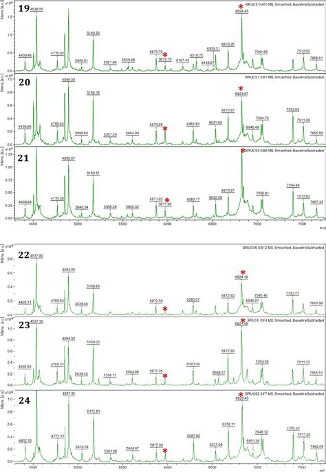 Figure 3 From Application Of Maldi Tof Mass Spectrometry As A Tool For Biotyping Of B