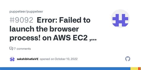 error failed to launch the browser process on aws ec2 working fine