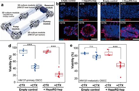 Figure 1 From Self Aligning Tetris Like Tile Modular Microfluidic