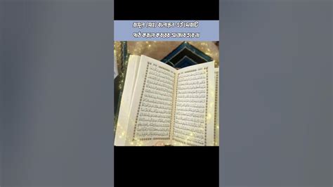 রাসূল সাঃ বলেছেন এই দোয়াটি পাঠ করলে কবরের আজাব হবে নাইসলামিকশর্টস
