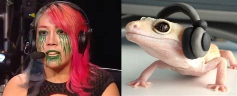 Asuka Vs Lizard Rwrestlersvsanimals