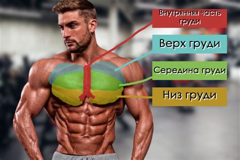 Как прокачать внутреннюю часть грудных ТОП 3 упражнения для тренировки груди The Coach💪🏻