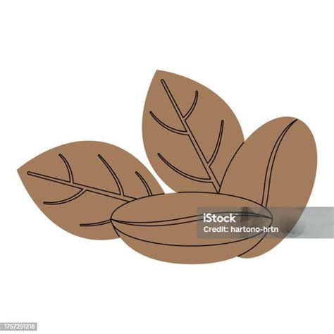 플랫 라인 커피 콩 벡터 일러스트 레이 션 와 커피 테마 와 평평한 선 벡터 스타일 0명에 대한 스톡 벡터 아트 및 기타 이미지 Istock