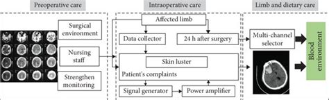 Inclusion And Exclusion Criteria Download Scientific Diagram
