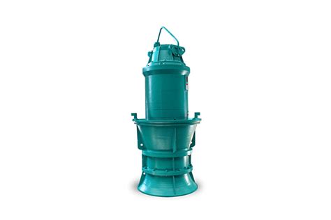 Axial Flow Pump Archives Sichuan Zigong Industrial Pump Co Ltd